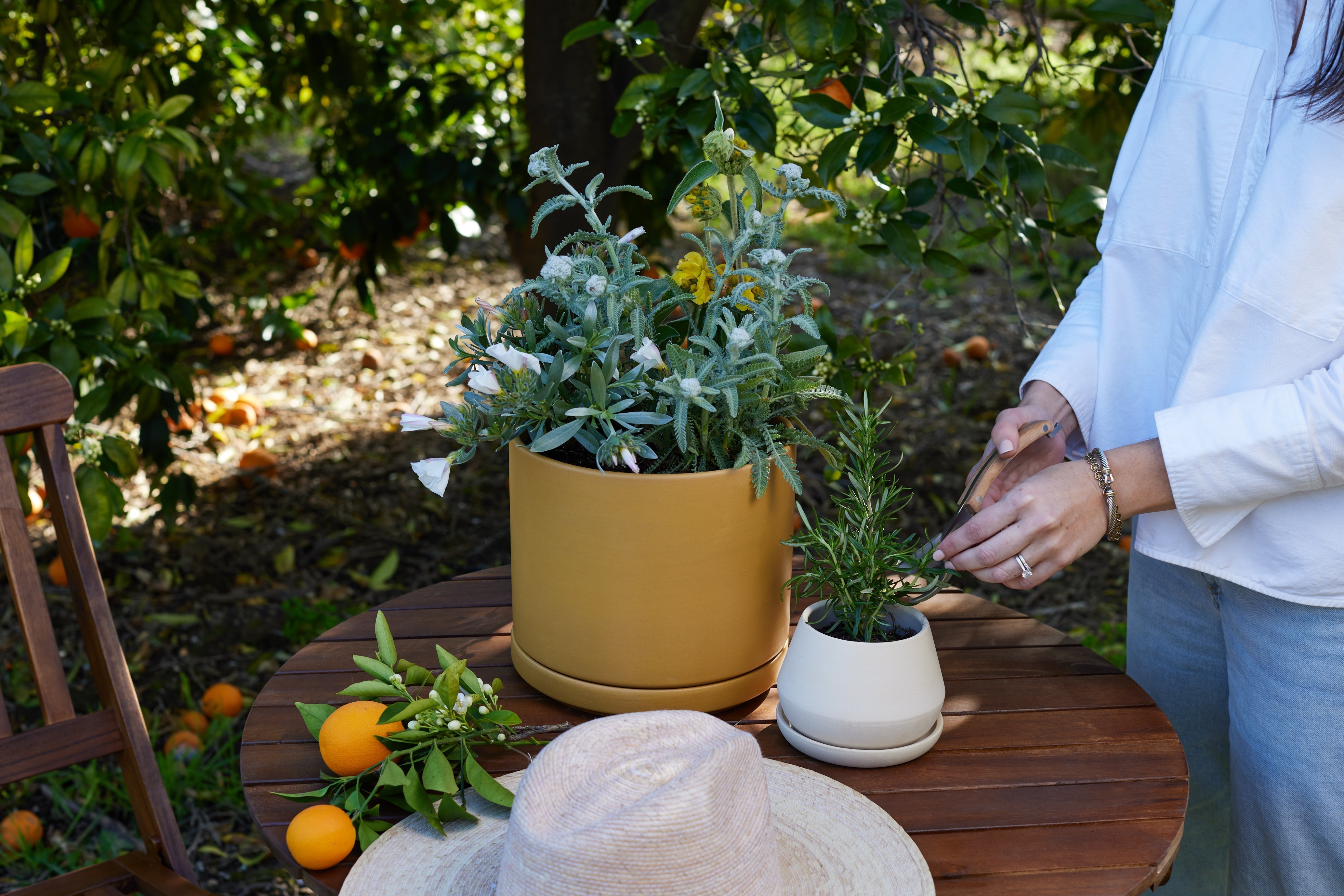 The Color Diaries: Golden Hour – LBE Design