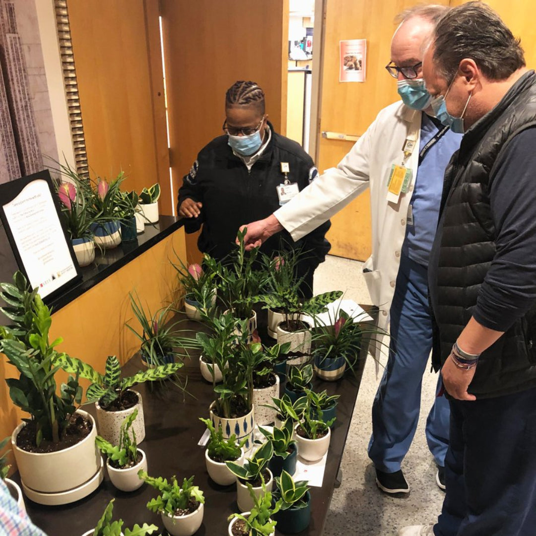 Donation Spotlight–Little Leaf Shop Brings Hope to Front Line – LBE Design