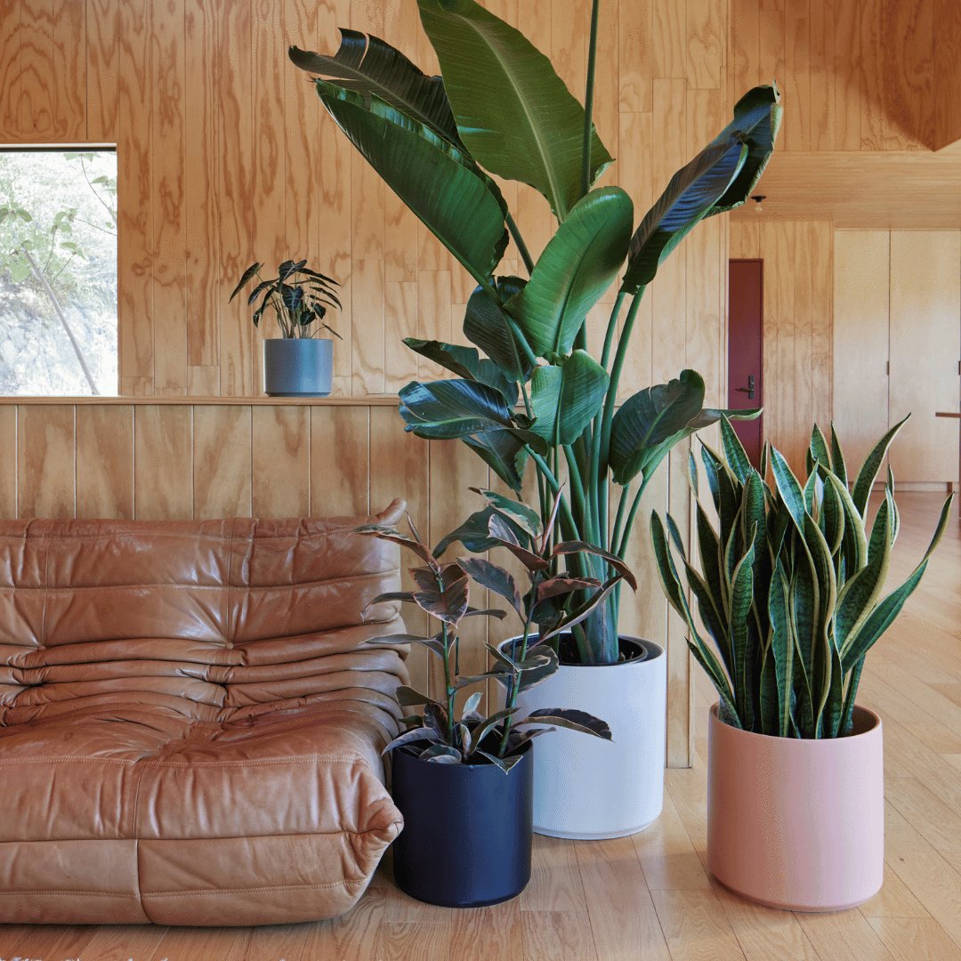 Collections – LBE Design