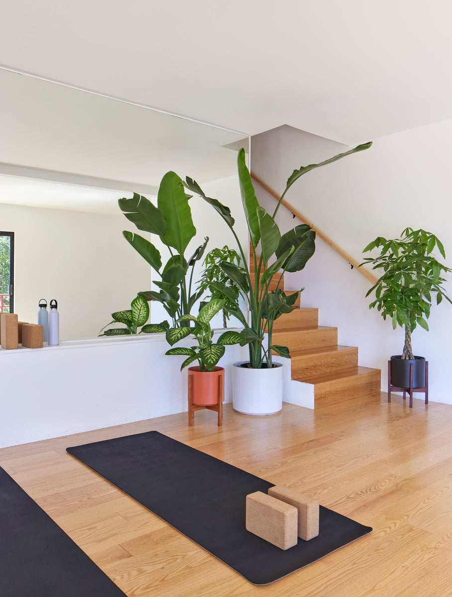 Solid Goods Collection – LBE Design