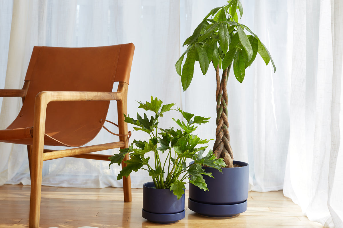 Midnight Mood – LBE Design