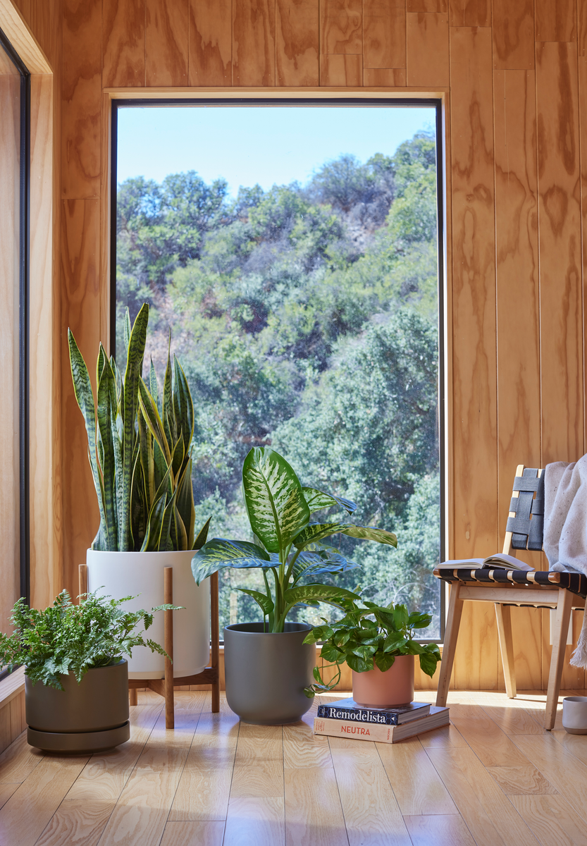 Revival Ceramics Collection – LBE Design