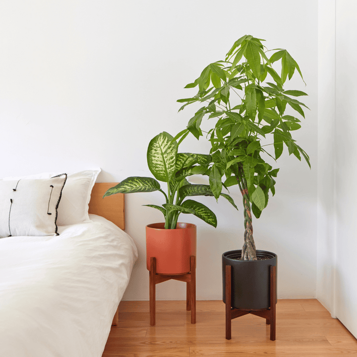 Ceramic Cylinders – LBE Design