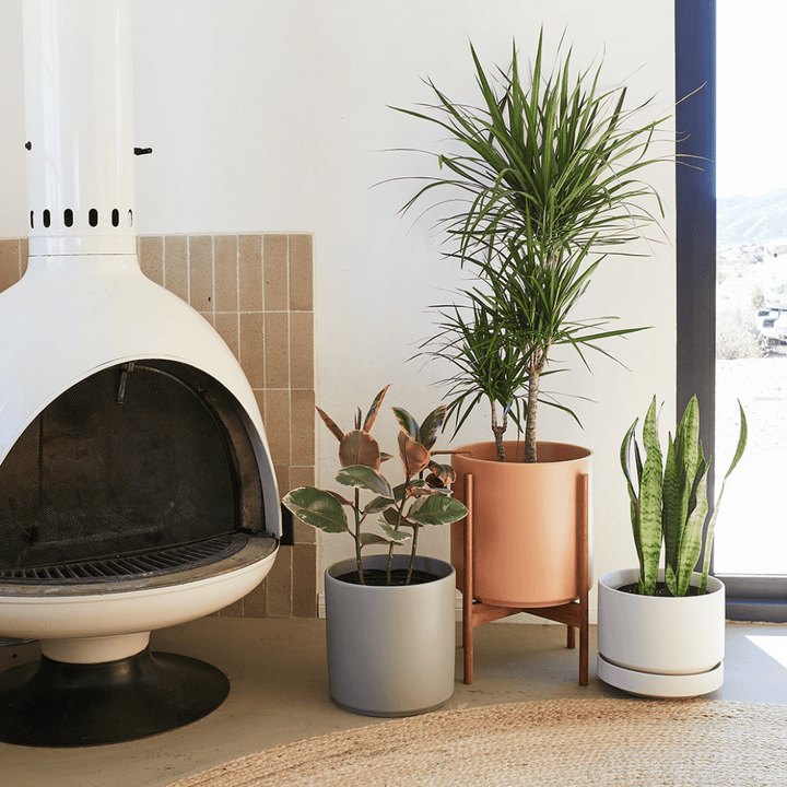 Ceramic Cylinders – LBE Design