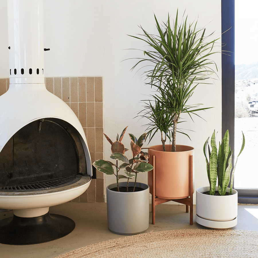 Ceramic Cylinders – LBE Design