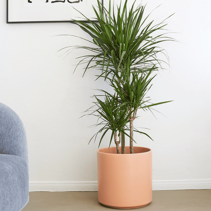 Ceramic Cylinders – LBE Design