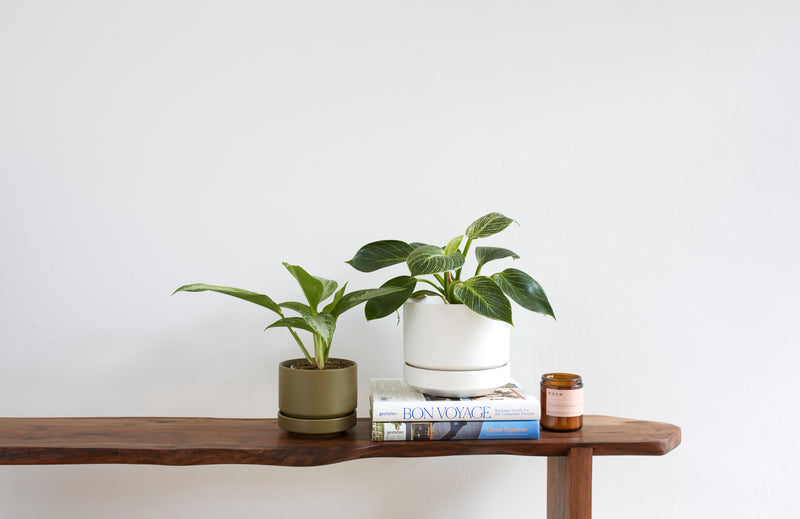 Welcome Series – LBE Design