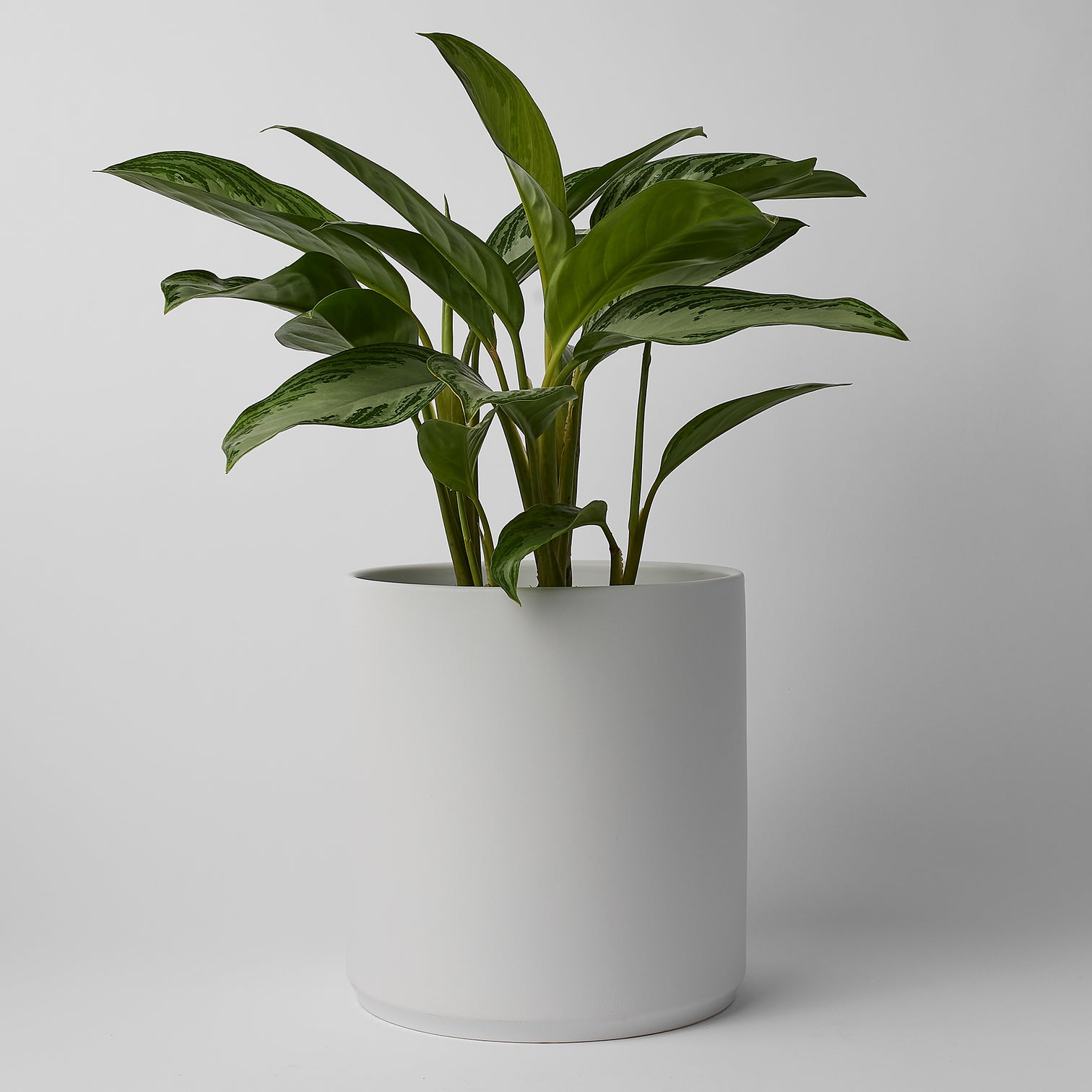 Ceramic Cylinders – LBE Design