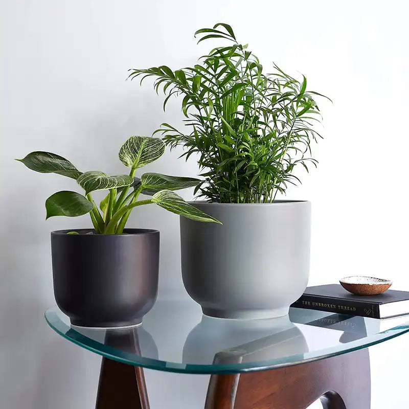 Bell Planter – LBE Design